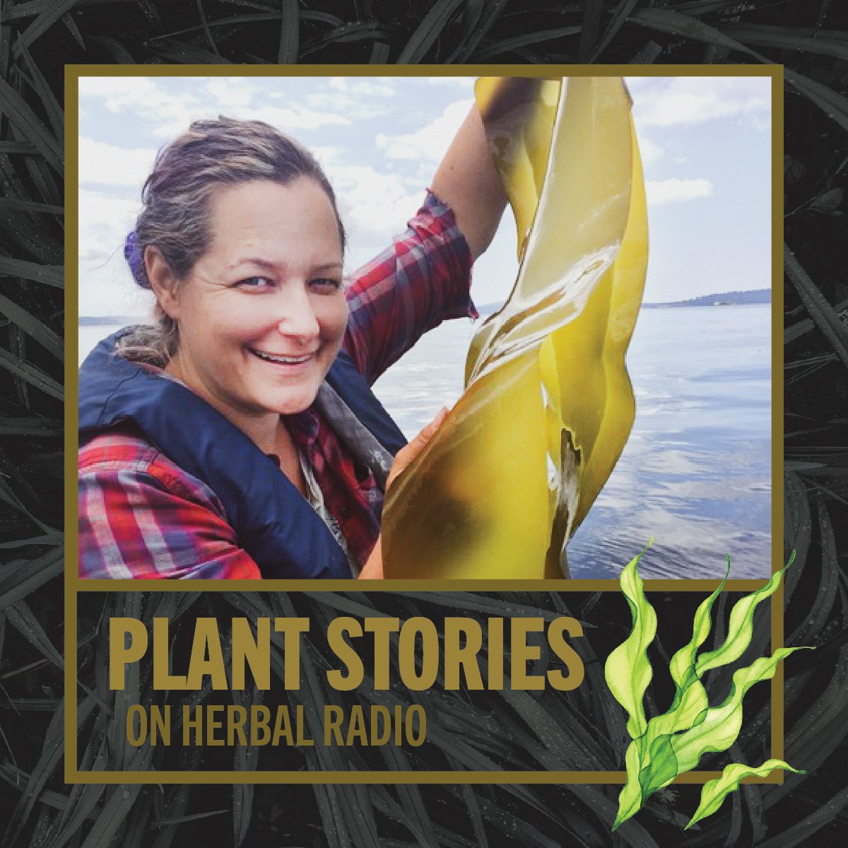 Plant Stories | Featuring Kristy Bredin