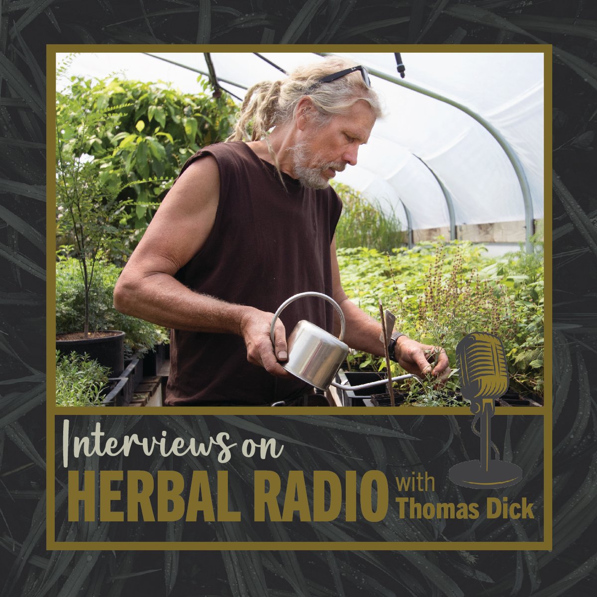 Plant Stories | Featuring Richo Cech & Co-Host Jiling Lin